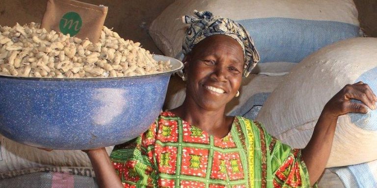 Hekima - Digitalisation des processus internes - Fondation Grameen ...